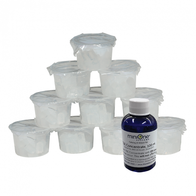 1% Agarose GelCups (TAE) Without Stain (M3251TAE) • MiniOne Systems