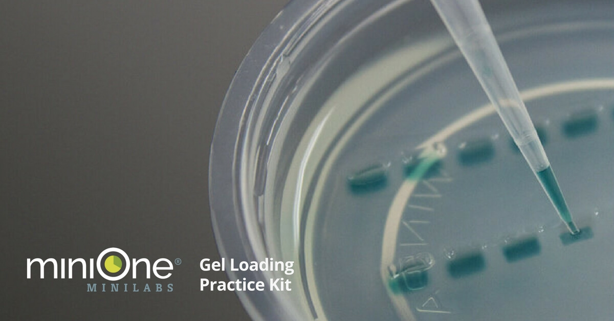 Gel Loading Practice MiniLab • MiniOne® MiniLabs