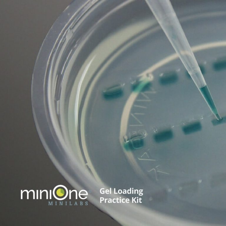 Gel Loading Practice MiniLab (M3002) • MiniOne Systems