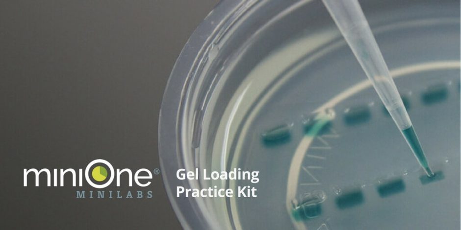 Gel Loading Practice Kit • MiniOne Systems