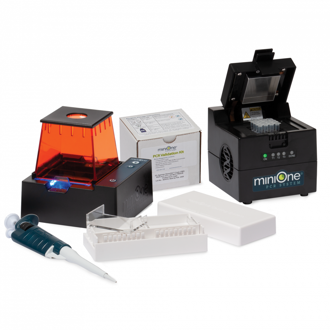 MiniOne Electrophoresis System Validation Kit • MiniOne Systems