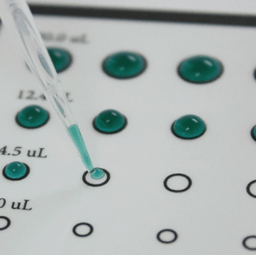 Laminated Practice Pipette Cards, Set of 20 (M2022) – Discontinued ...