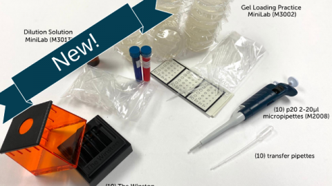 Gel Electrophoresis Lab Kits • MiniOne Systems MiniLabs