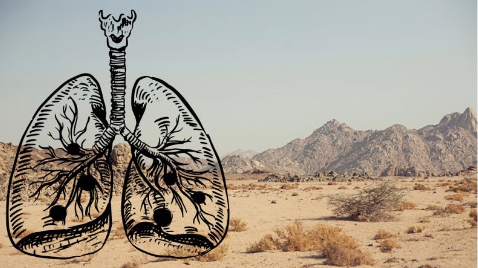 Understanding Valley Fever: Key Facts at a Glance • MiniOne Systems